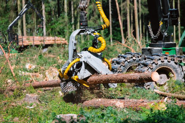 Timber Harvesting Guidelines: Planned Harvesting and Reforestation ...