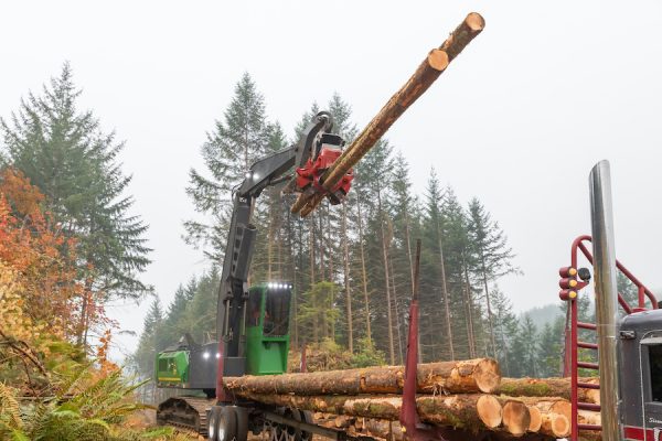 Waratah Forestry Equipment Introduces Multi-Use HTH623C Loader Processor For Tight Spaces ...