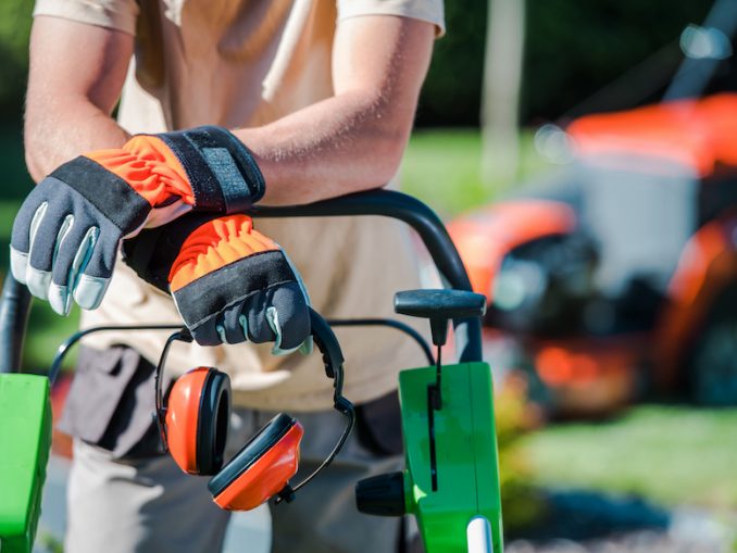 Timber Harvesting Guidelines: Planned Harvesting and Reforestation ...