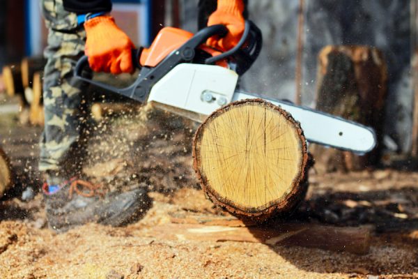 Chainsaw Safety for Forestry and Landscaping Contractors | Equipment ...